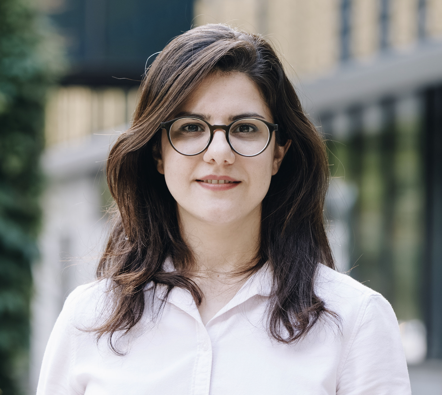 Samaneh Mohammadi | Academic Portfolio